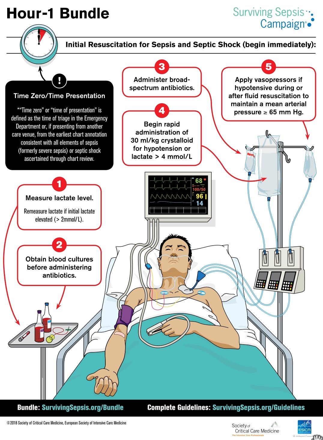 Surviving Sepsis
