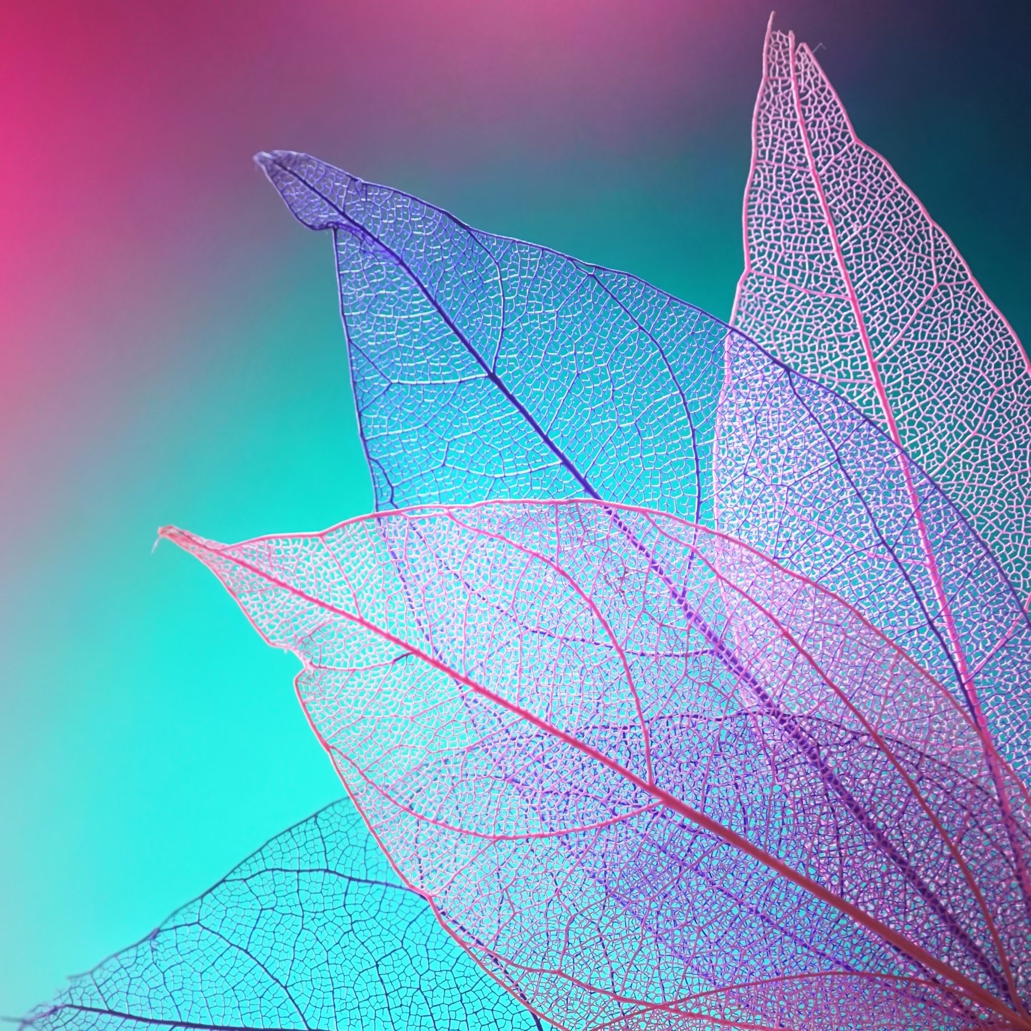 Twitter Backgrounds For Summer