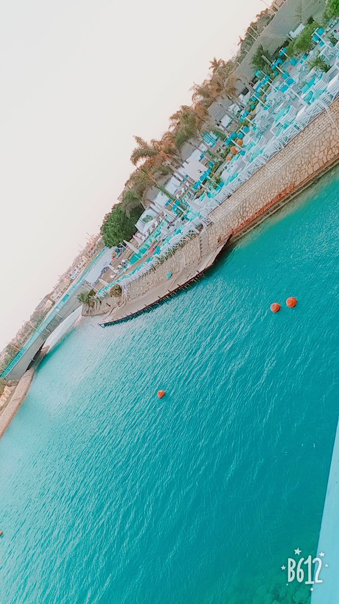 Twty Twta (@TwtyTwta) | Twitter