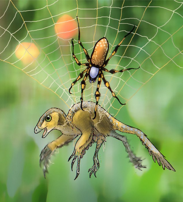 Nephila Jurassica Size Comparison