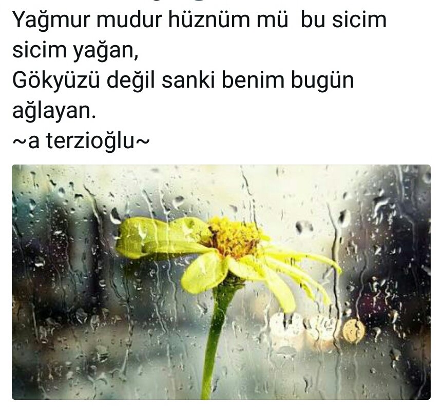 Vuslat.. (@meralsavas) | Twitter