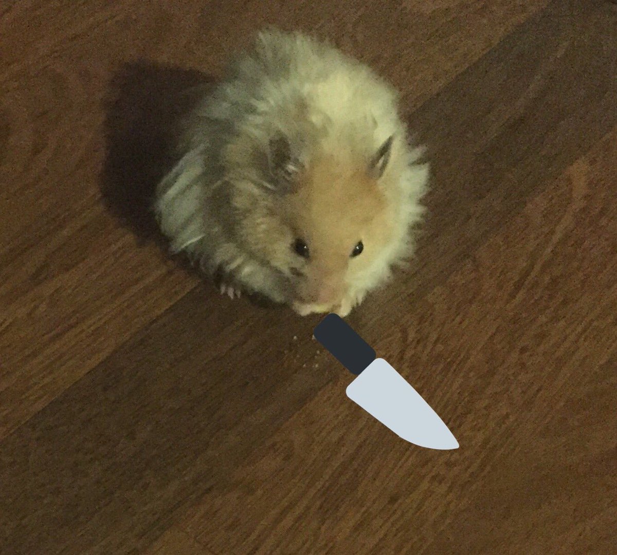 Hamster with knife Paper Paper & Party Supplies etna.com.pe