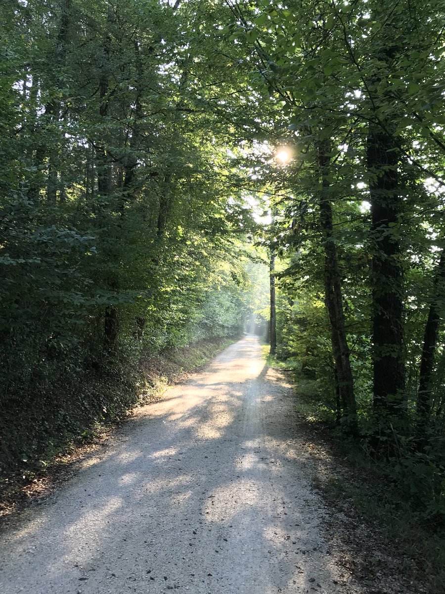 Ari Byland (@AByland) | Twitter