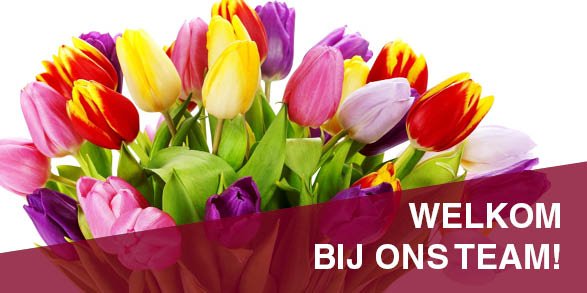 Welkom Bij Het Team Afbeelding