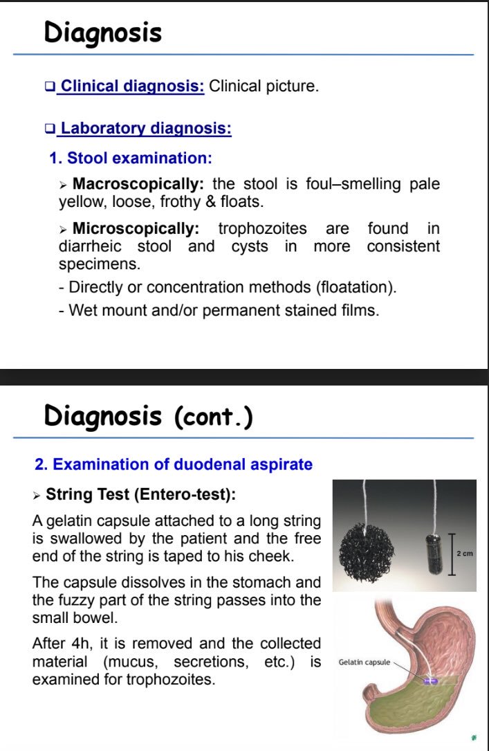 ملخص Parasitology - المسلسل من غيداء طلال بصفر🇸🇦 @ghayda_basfar - رتبها