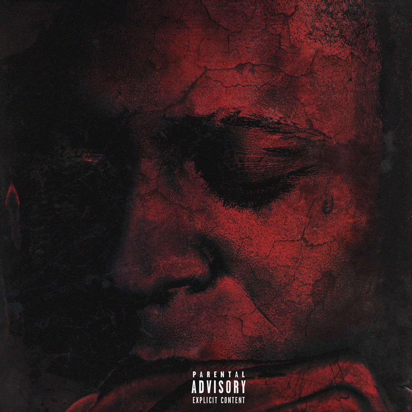 Lil Wayne The Carter 5 Album Cover