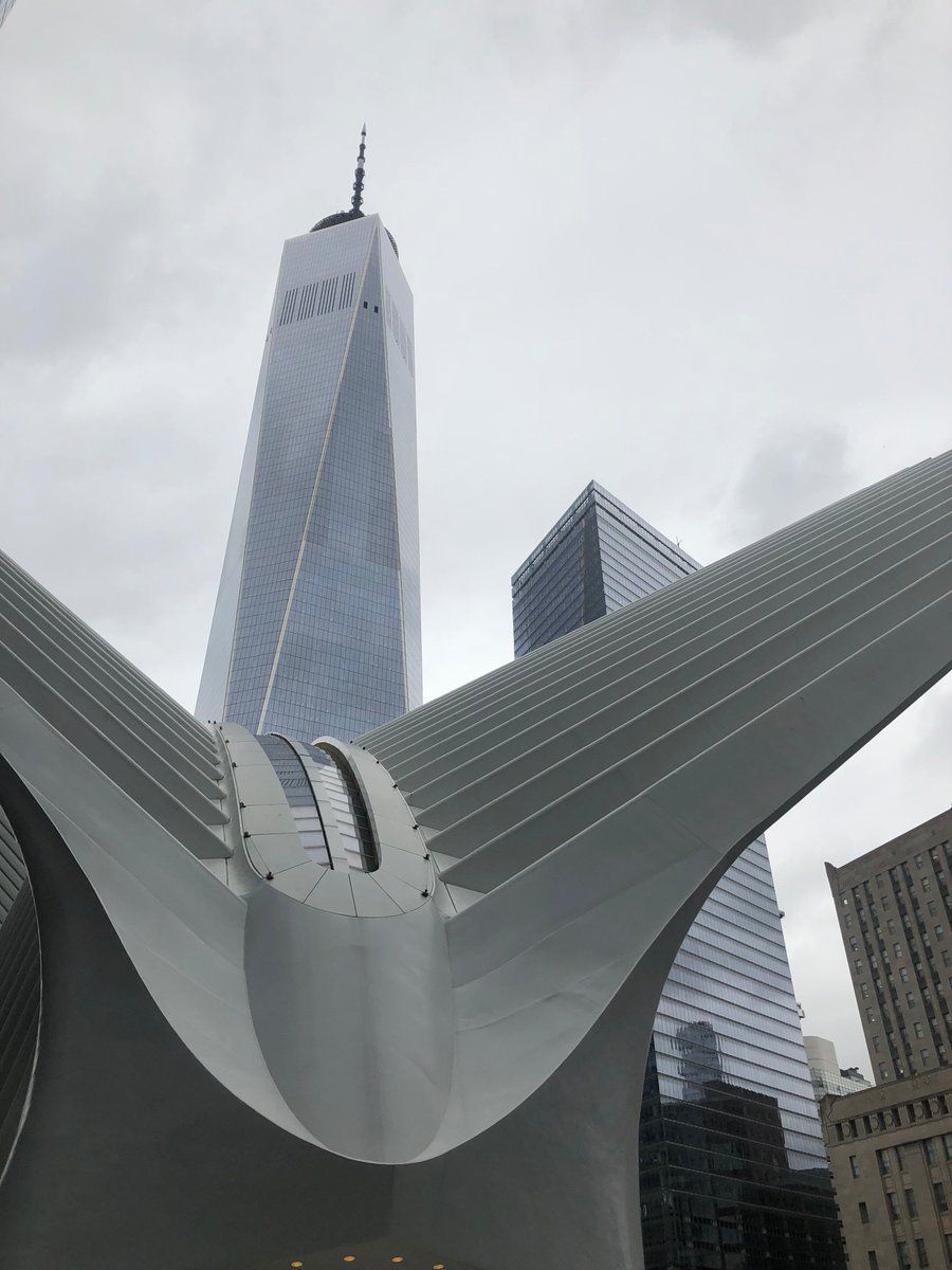 Studio NYL (@StudioNYL) | Twitter