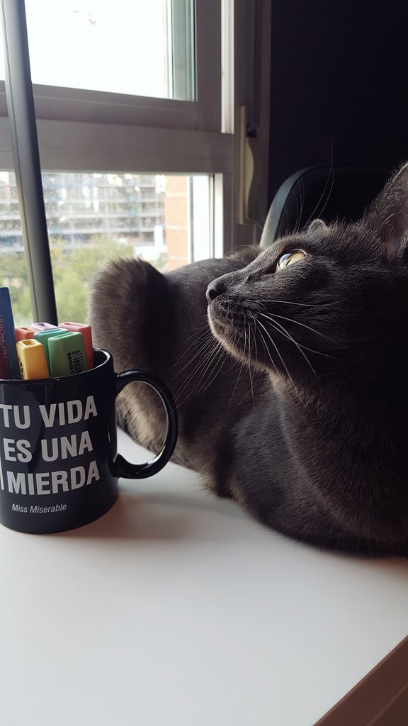 Alejandro Capdevila (@Kpd83) | Twitter