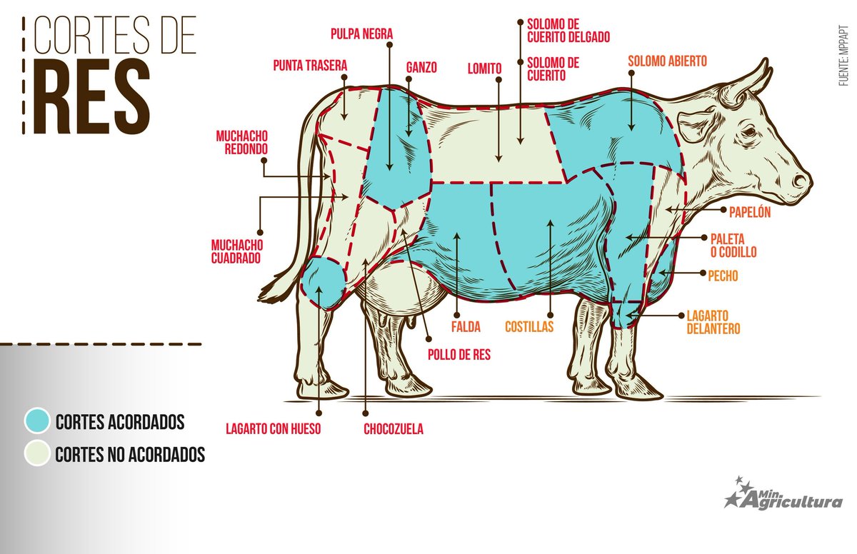 Falda De Res Que Parte Es - Ken Chad Consulting Ltd
