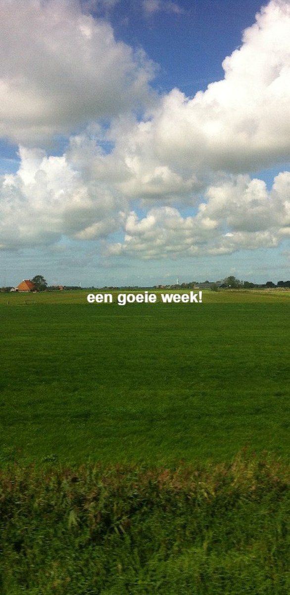 Anke de Boer (@ankedeboer) | Twitter