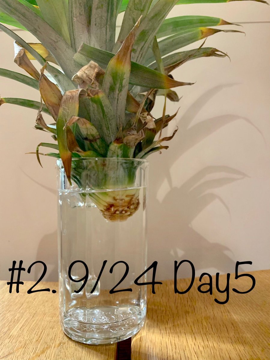 ゆい(@astro_zero) - Twilog