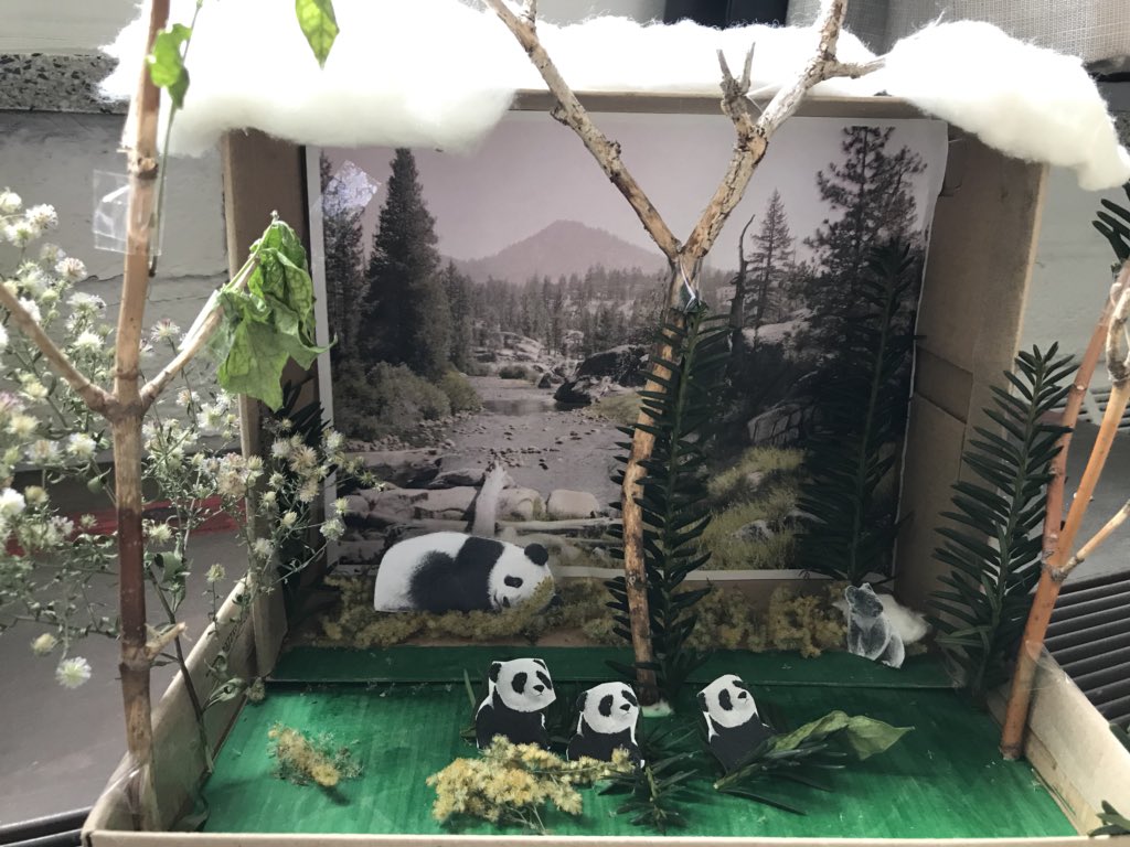 Giant Panda Habitat Diorama