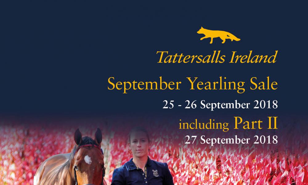 ITBA (@ITBA_Official) | Twitter