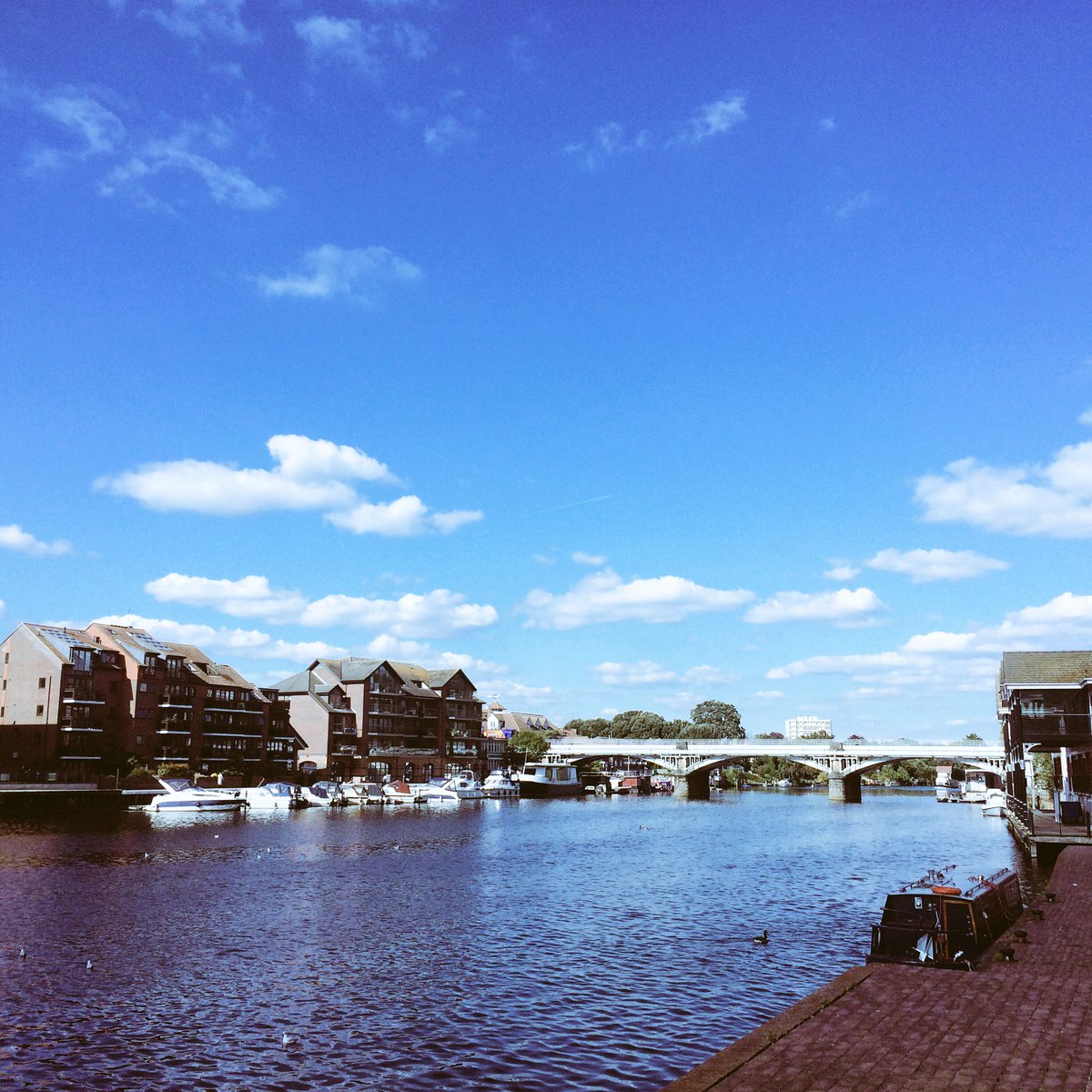 Redthread (@Redthreadyouth) | Twitter