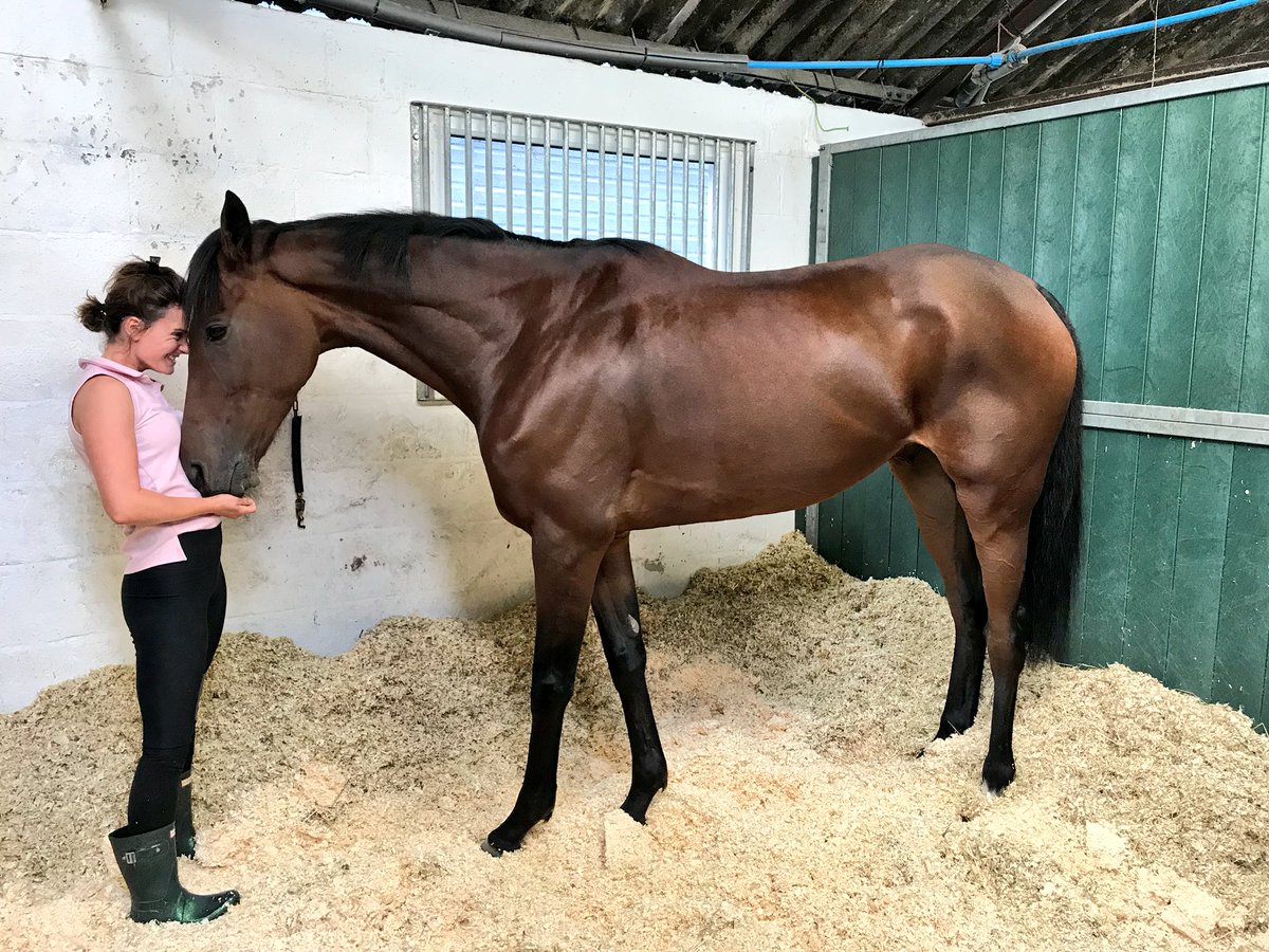 Tania Kindersley (@taniakindersley) | Twitter