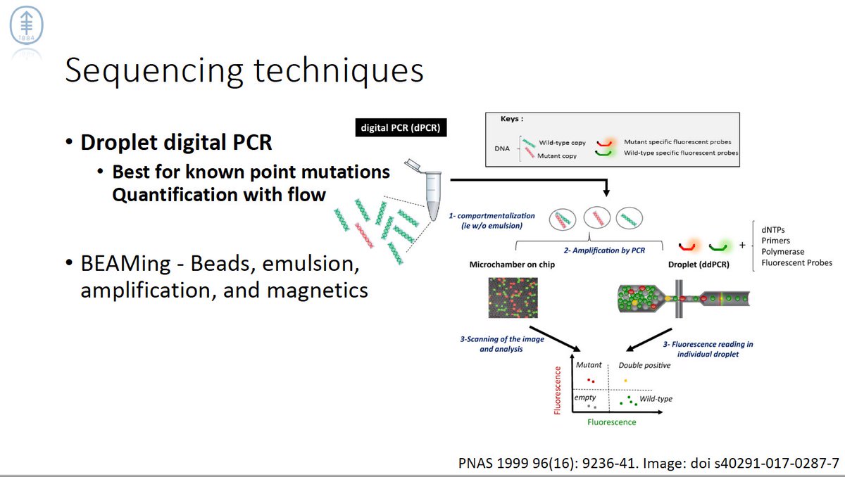 Beaming Pcr