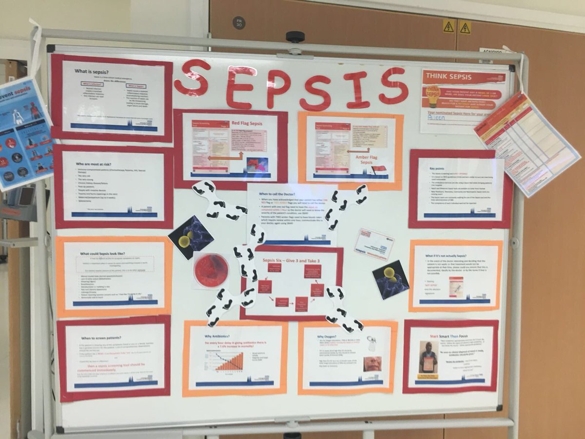 Doctor Seuss Bulletin Board Ideas