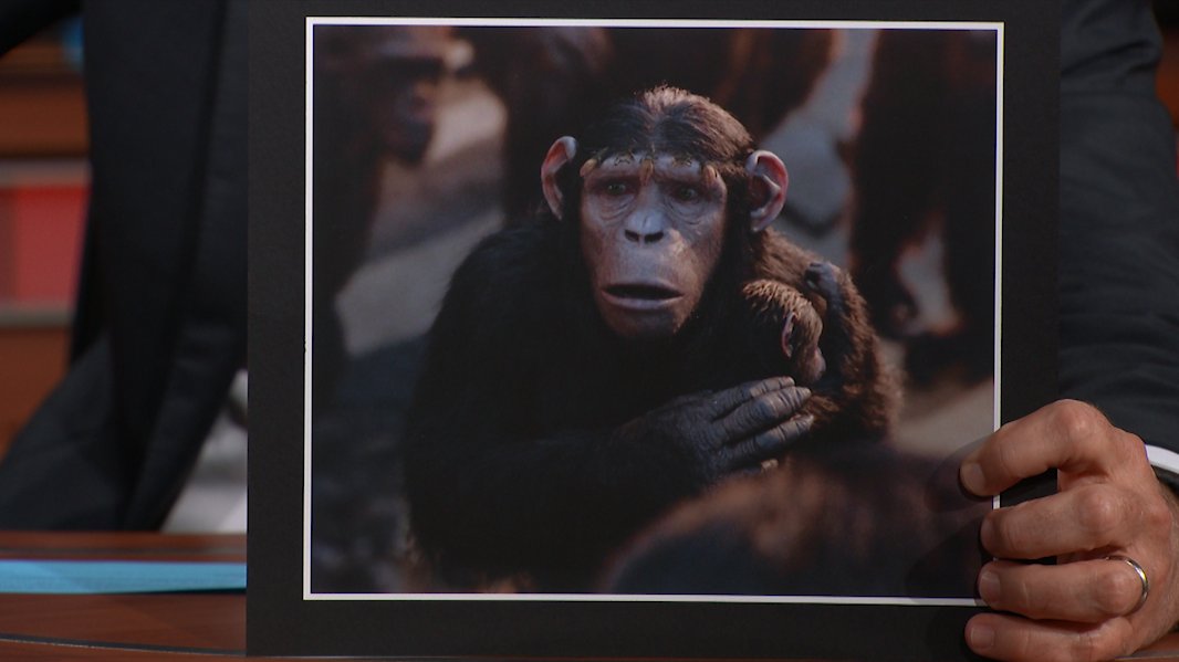 Rise Of The Planet Of The Apes Caesar And Cornelia