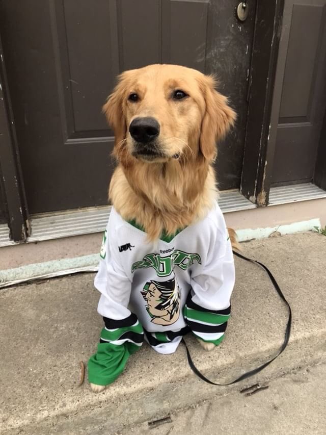 JARED OLSON (@jaredolsonphoto) | Twitter