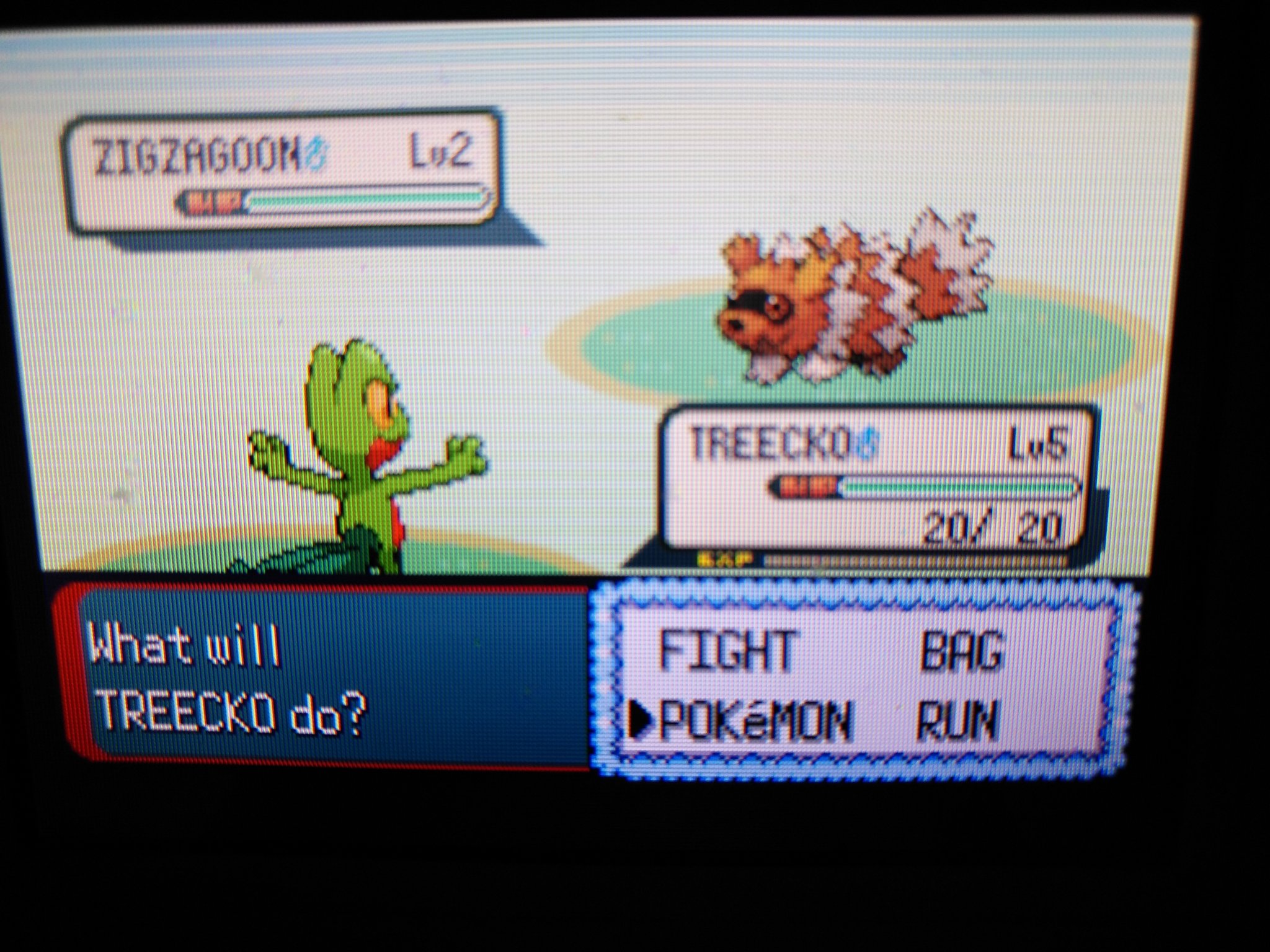 Shiny Linoone Emerald