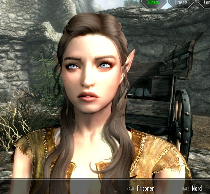 Skyrim Races Nord