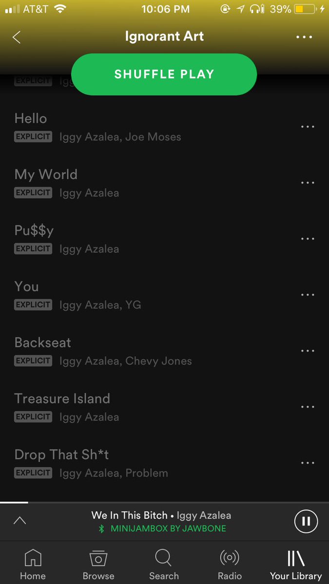 Ignorant Art Iggy Azalea