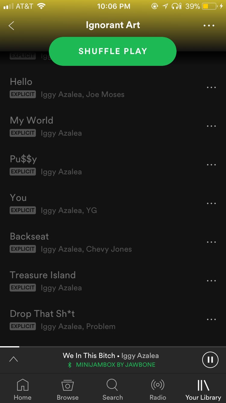 Iggy Azalea Ignorant Art