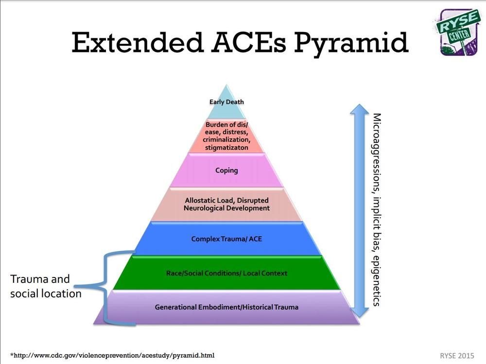 Ryse: Latest news, Breaking headlines and Top stories, photos & video ...