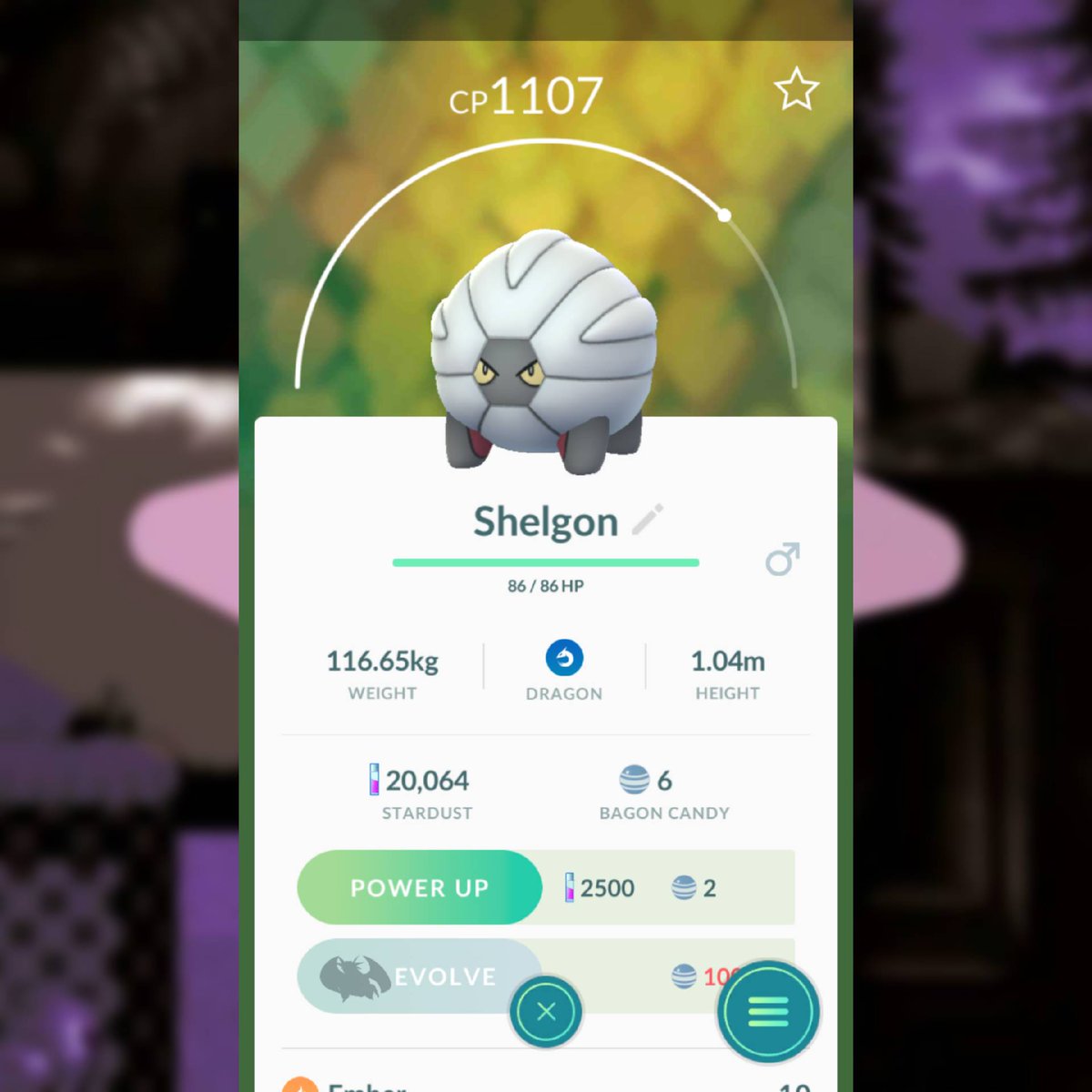 Shelgon - Pokemon Go