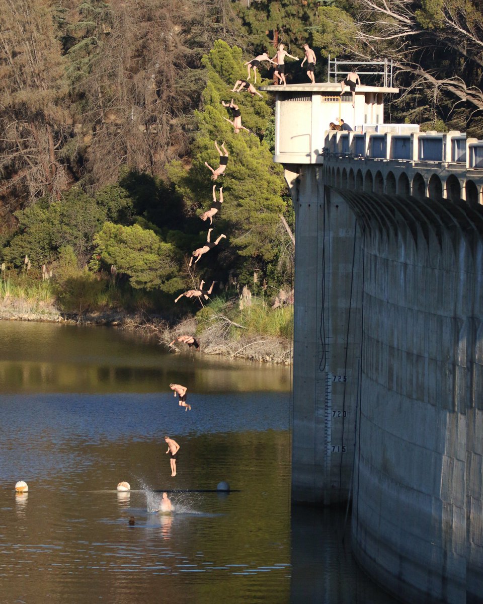 Riyadh Rustam (@riyadh_rustam) | Twitter