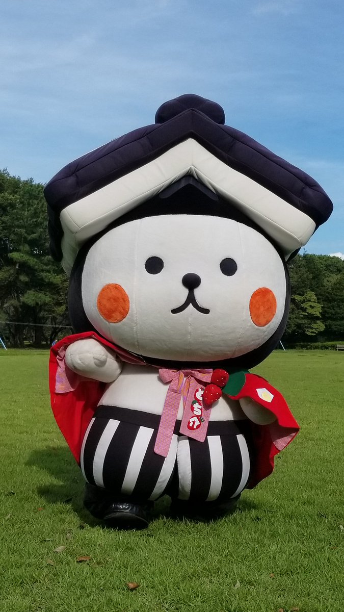 モランゴ栃木 コーチ - AllieT3Lu