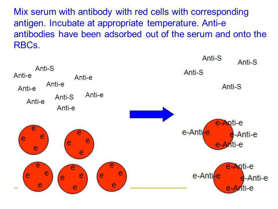 ملخص Blood Bank (بنك الدم )💉👩🏻‍🔬 https://t.co/4lucOObxFc - غيداء طلال ...