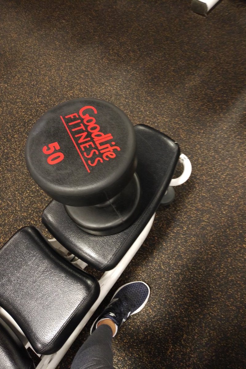 Daphne Lapenna (@DaphneLapenna) | Twitter