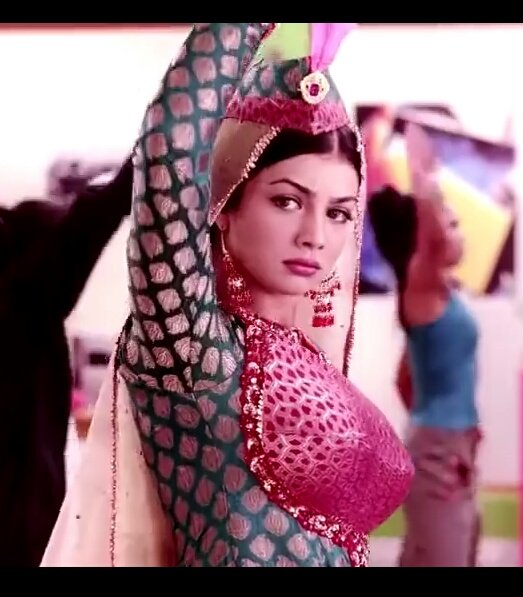 Wanted Movie Ayesha Takia