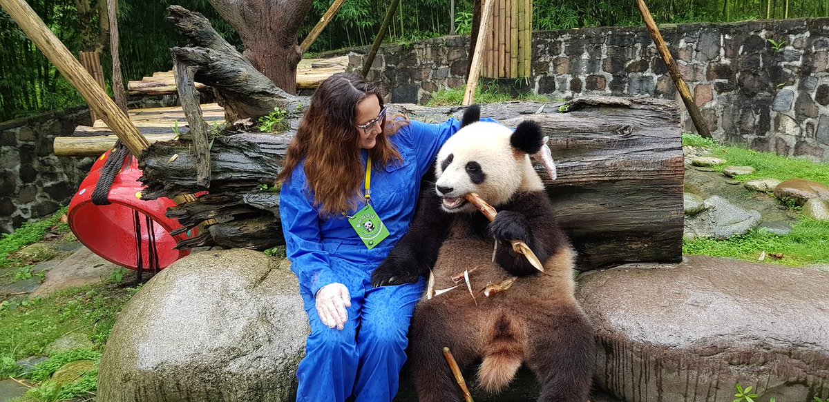 Top China Travel (@topchinatravel) | Twitter