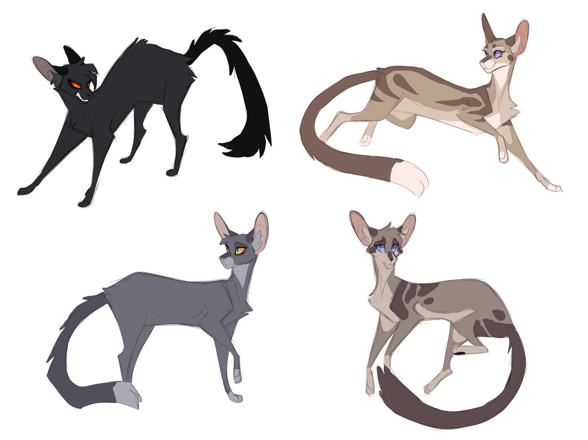 Warrior Cats Breezepelt And Heathertail