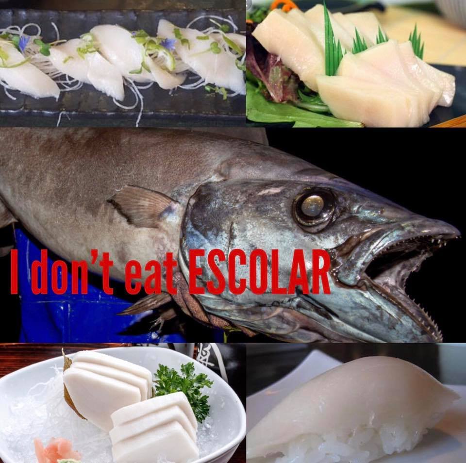 Escolar Vs Tuna Escolar (Saltwater Fish Of Louisiana) · INaturalist