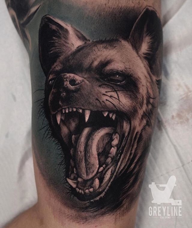 Greyline Tattoos The Grey Line