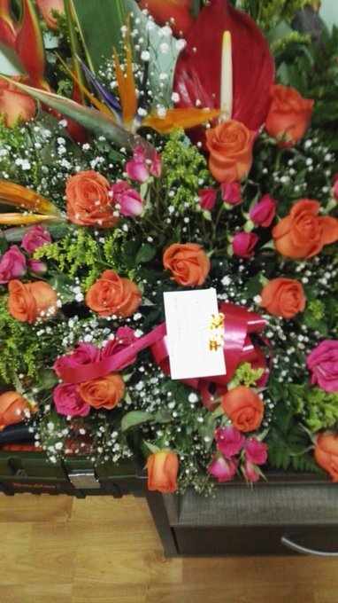 TW Pornstars - Vanandjuani 👻ONLYFANS/vanessavipx. Pictures and videos ...