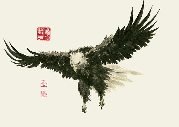 Eagle Painting Chinese