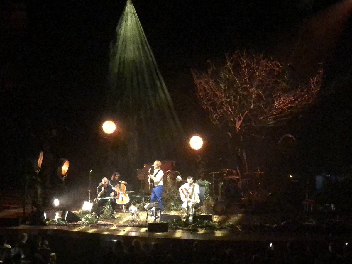 Simon cheeseman (@Siac1980) | Twitter