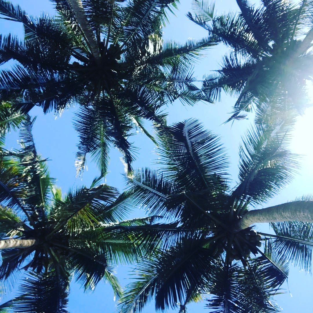 Purity Nation (@Puritynation1) | Twitter