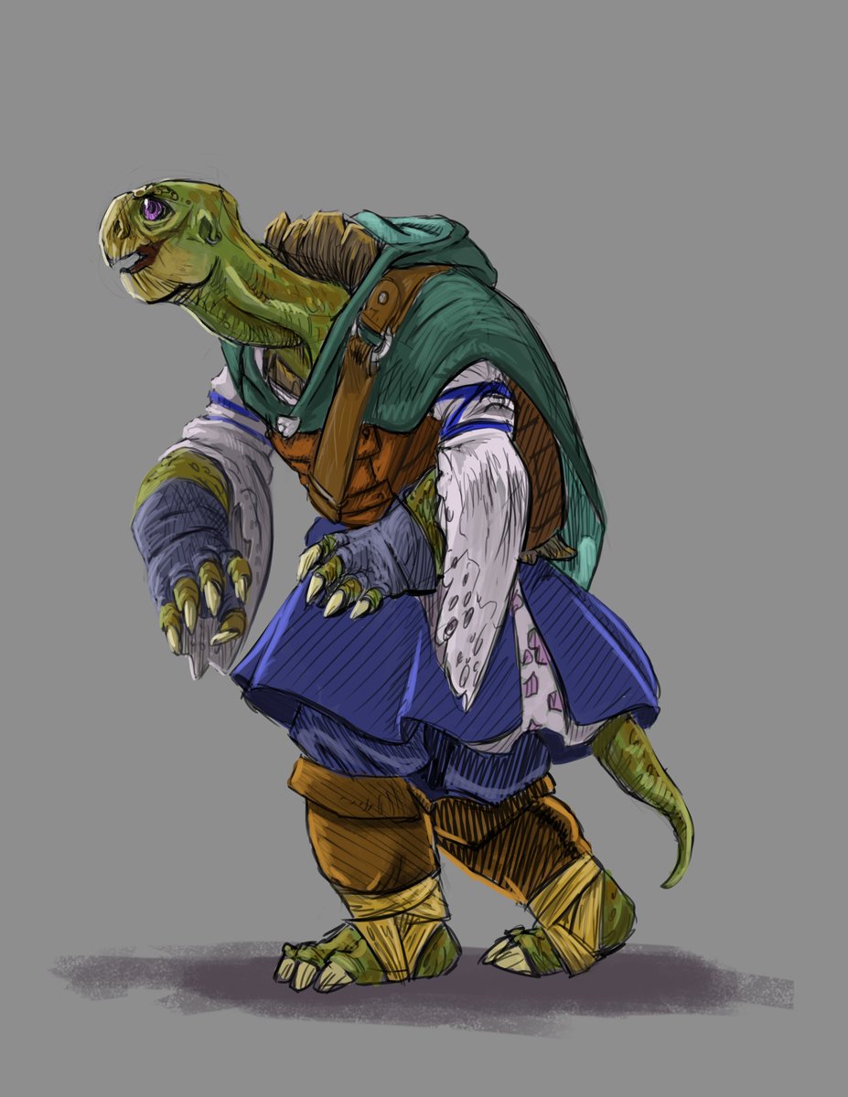 Tortle or possibly snapper | Dungeons and dragons characters, Dnd ...