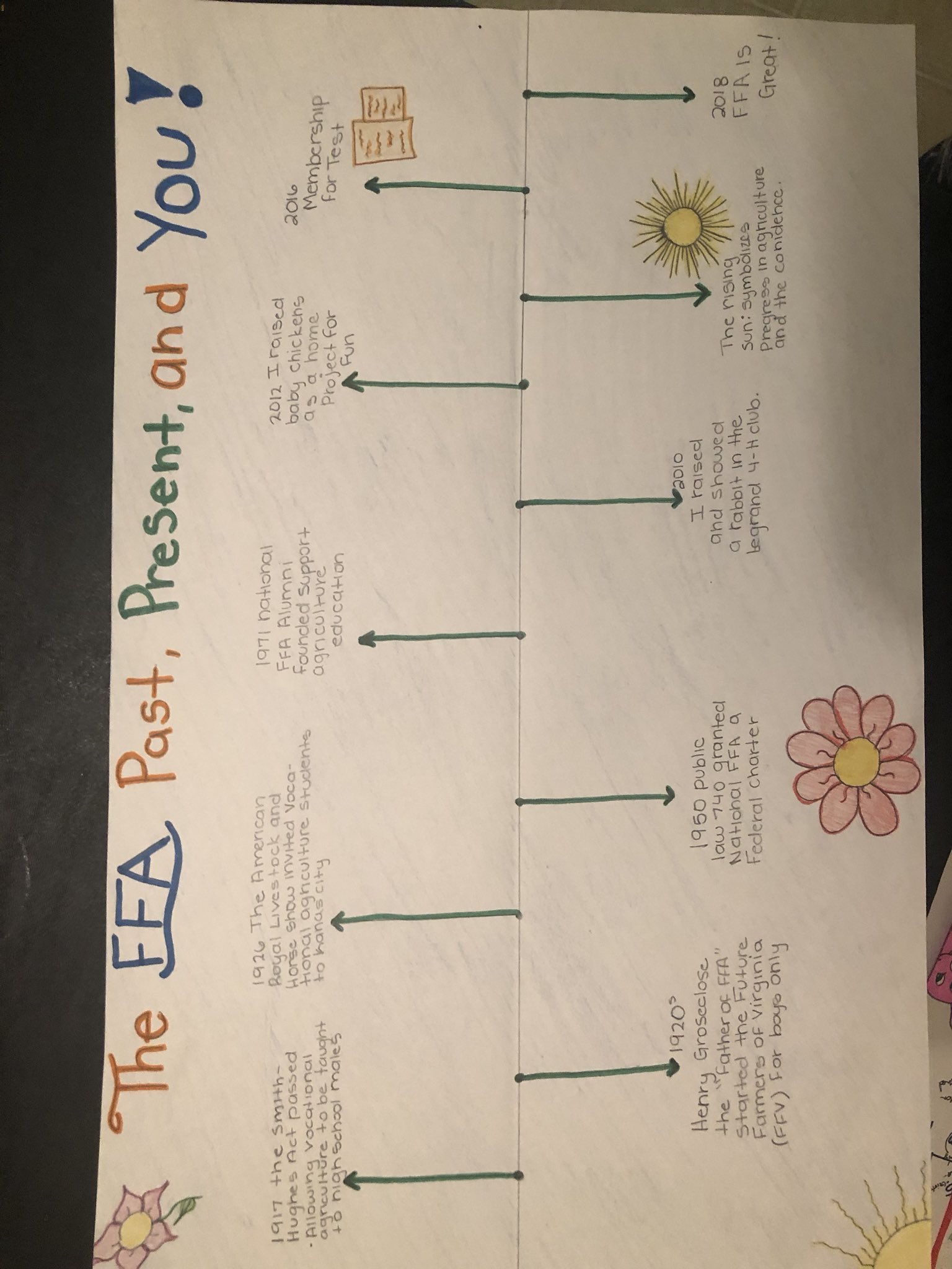 Creative Timeline Project Ideas