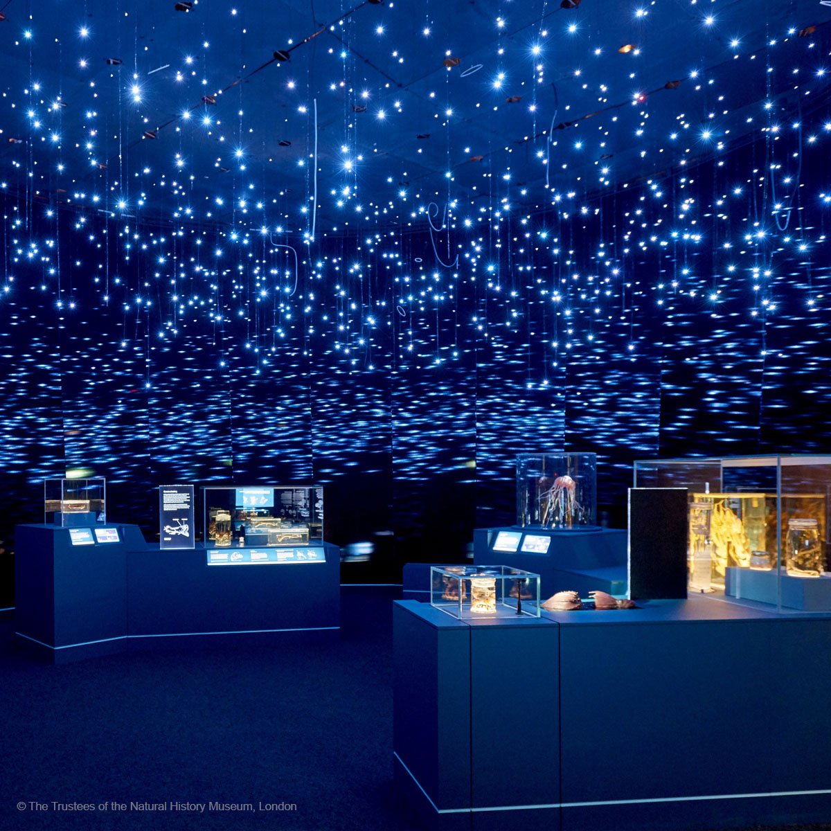 History Museum Exhibit Design