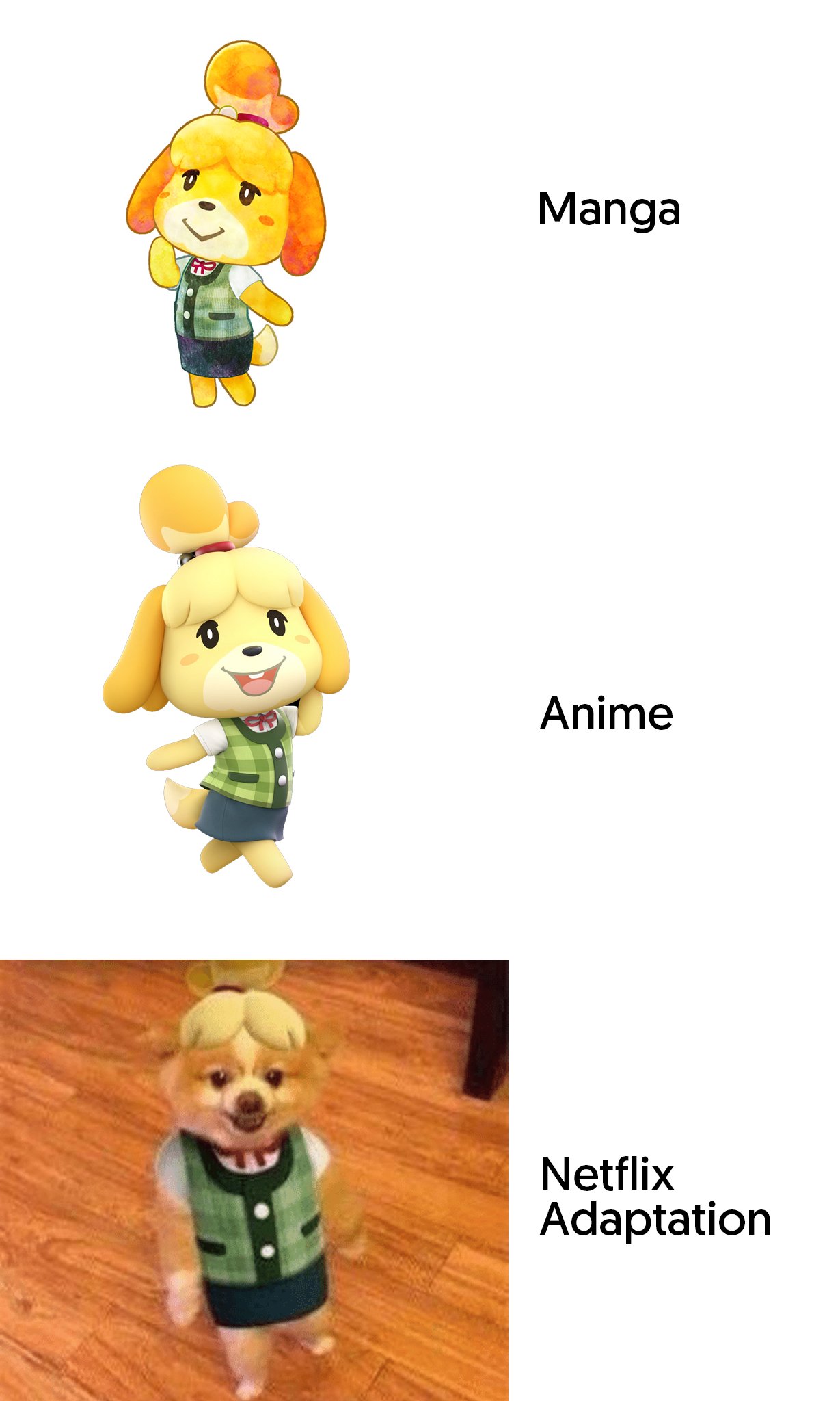 Isabelle Hair Memes