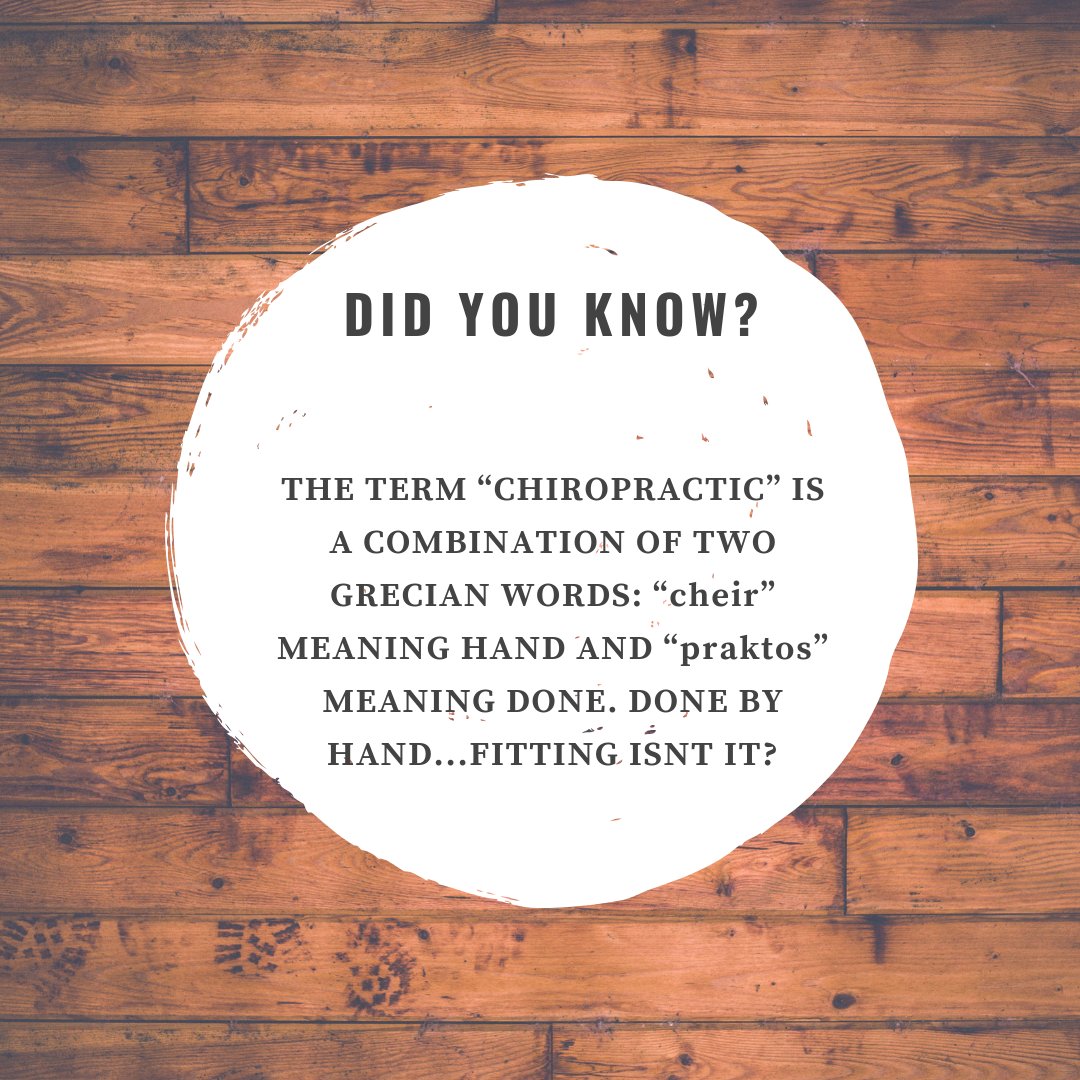 Chiropractic Fun Facts