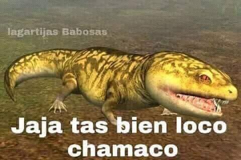 Dinomemes – Memeología
