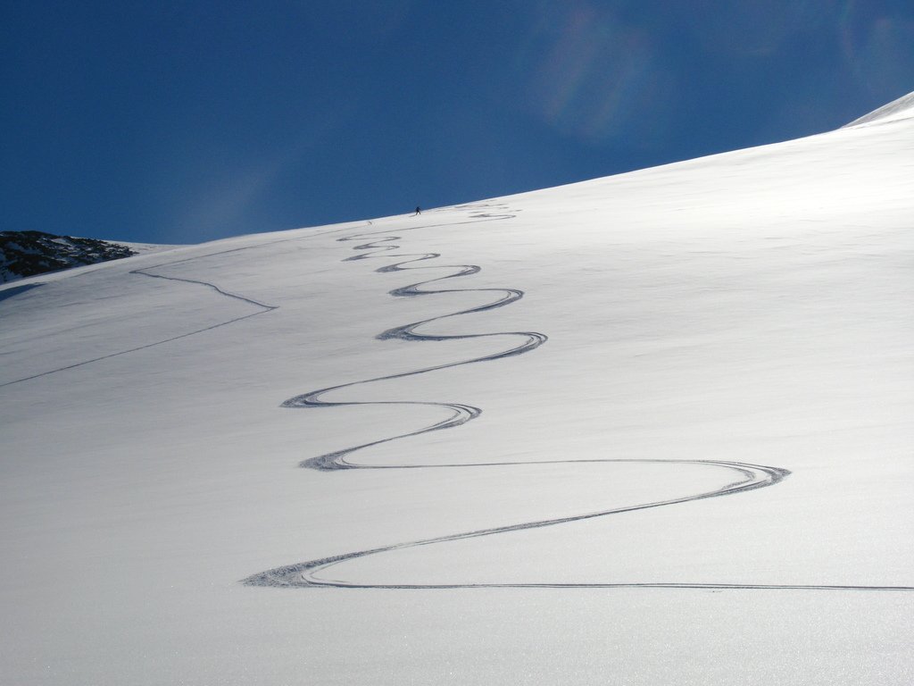 Powder Skiing Tracks
