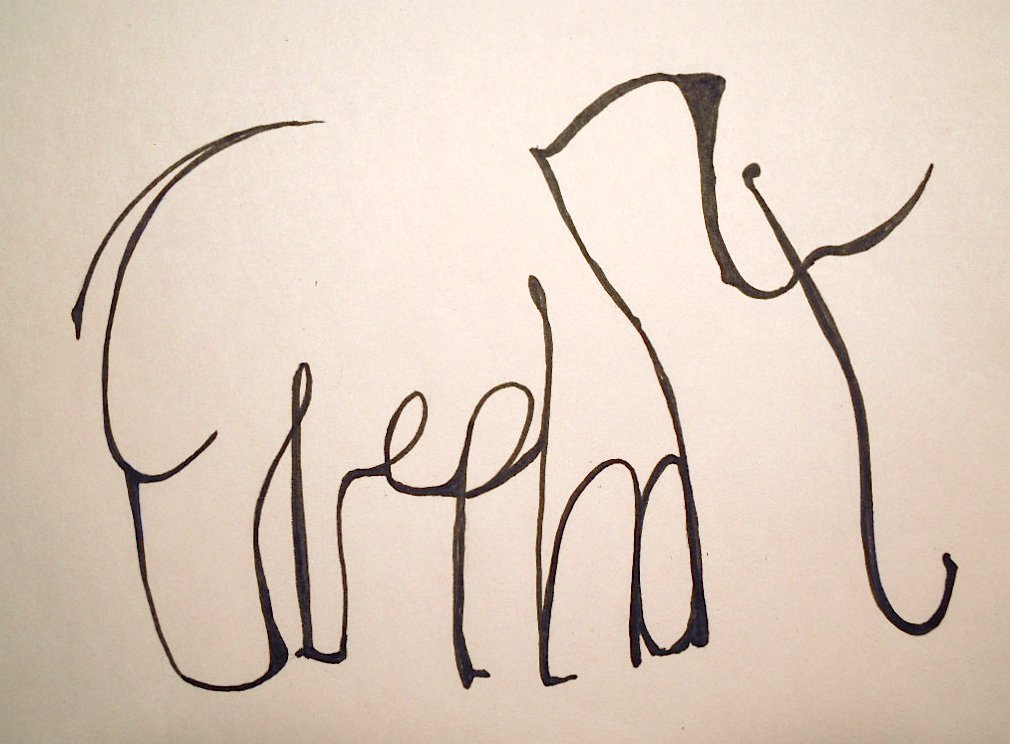 Optical Illusions Words Hidden